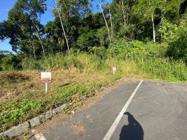 Terreno / Lote para Venda em Jaraguá do Sul/SC Estrada Nova