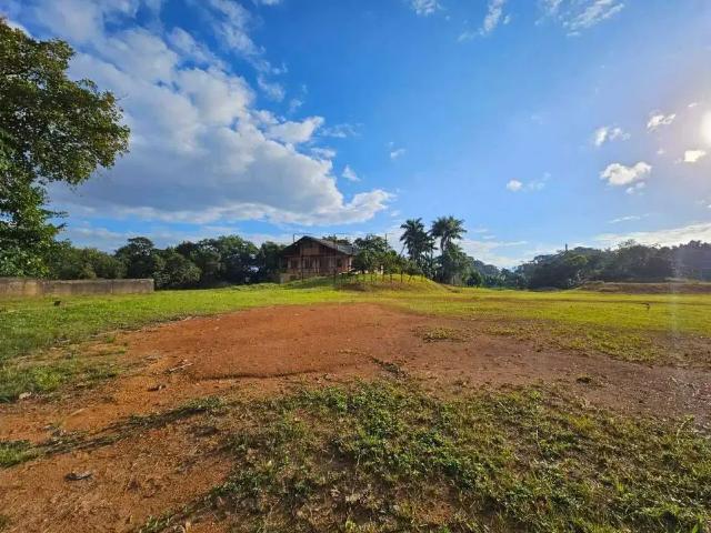 Terreno / Lote para Venda em Jaraguá do Sul/SC Estrada Nova
