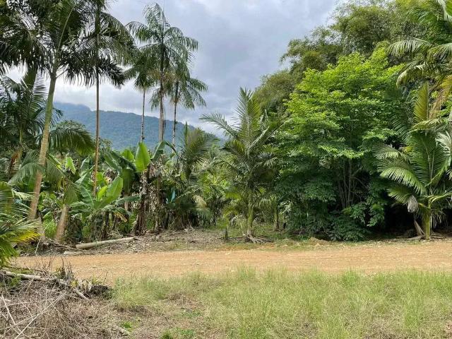 Terreno / Lote para Venda em Jaraguá do Sul/SC Garibaldi
