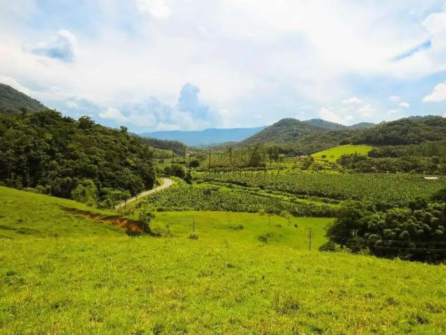 Terreno / Lote para Venda em Jaraguá do Sul/SC Garibaldi