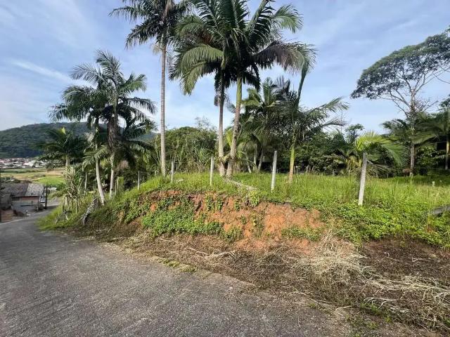 Terreno / Lote para Venda em Jaraguá do Sul/SC Ilha da Figueira
