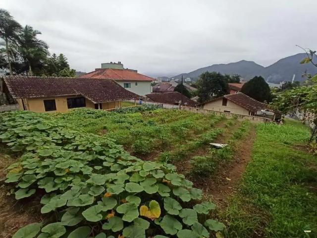 Terreno / Lote para Venda em Jaraguá do Sul/SC Ilha da Figueira