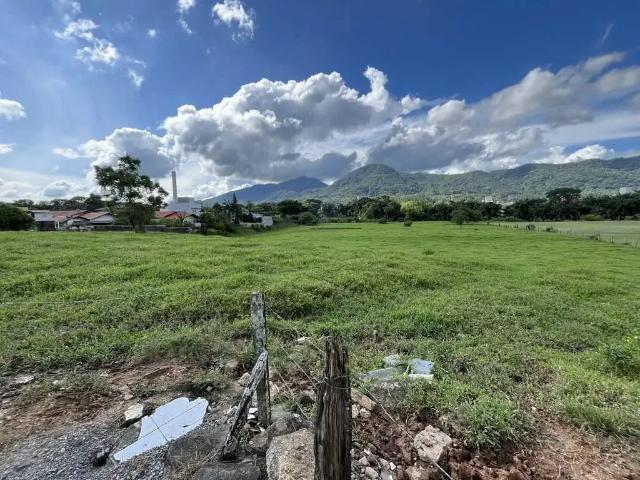 Terreno / Lote para Venda em Jaraguá do Sul/SC Ilha da Figueira