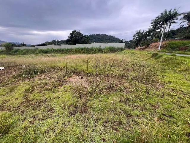 Terreno / Lote para Venda em Jaraguá do Sul/SC Jaraguá 84