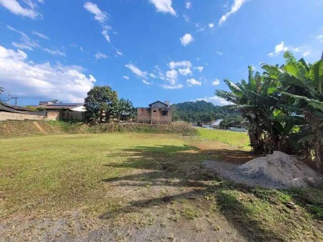 Terreno / Lote para Venda em Jaraguá do Sul/SC Jaraguá 99