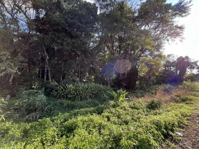Terreno / Lote para Venda em Jaraguá do Sul/SC Jaraguá 99