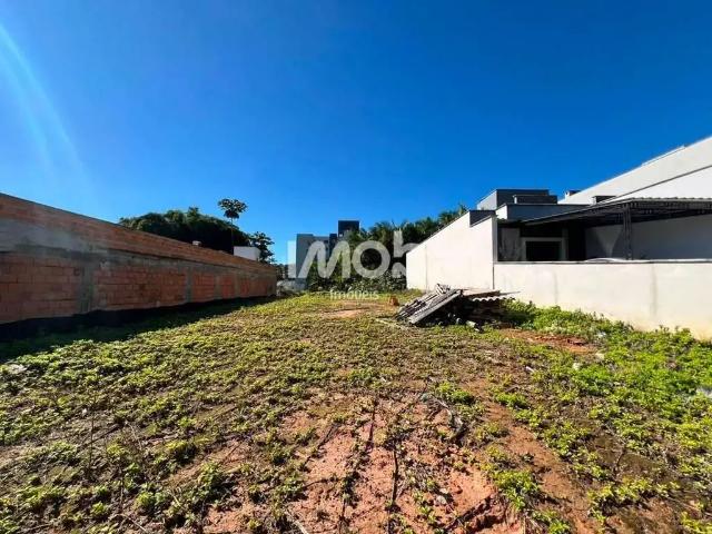 Terreno / Lote para Venda em Jaraguá do Sul/SC Jaraguá 99