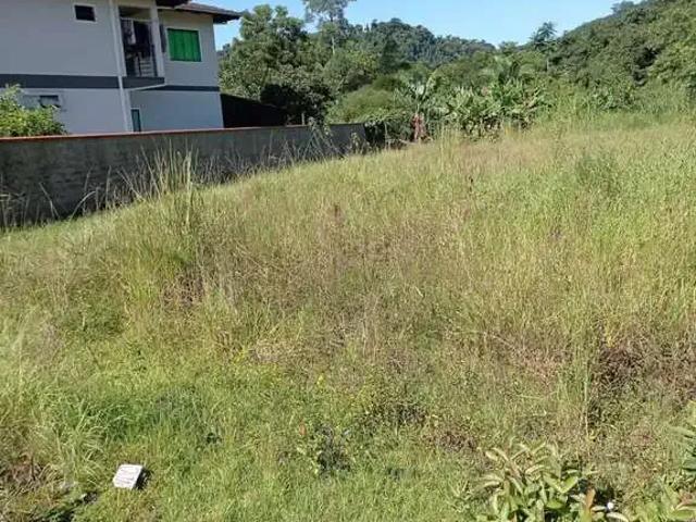 Terreno / Lote para Venda em Jaraguá do Sul/SC Jaraguá 99