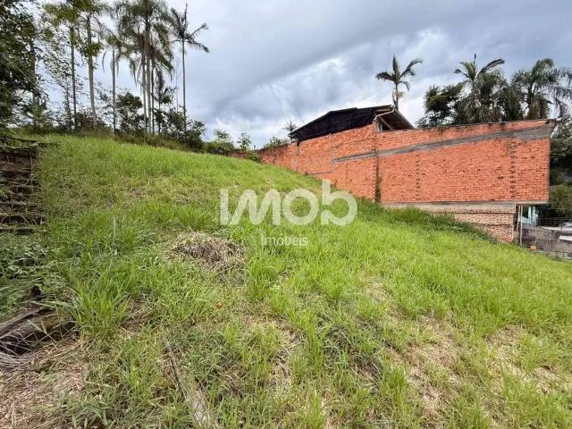 Terreno / Lote para Venda em Jaraguá do Sul/SC Jaraguá Esquerdo
