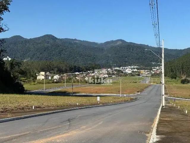 Terreno / Lote para Venda em Jaraguá do Sul/SC Jaraguá Esquerdo