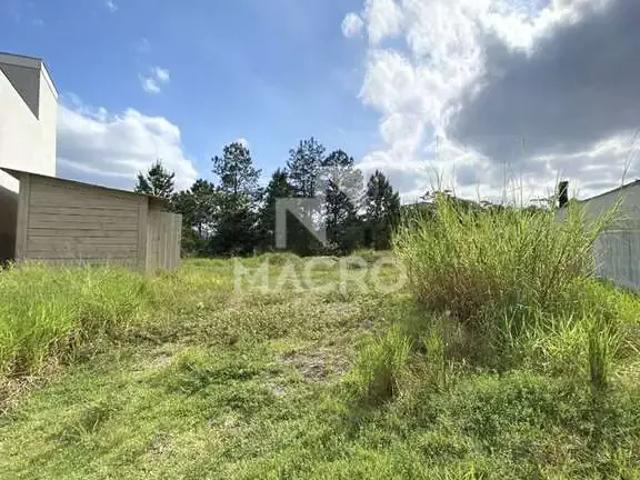 Terreno / Lote para Venda em Jaraguá do Sul/SC Jaraguá Esquerdo