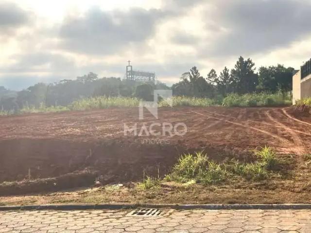 Terreno / Lote para Venda em Jaraguá do Sul/SC Jaraguá Esquerdo