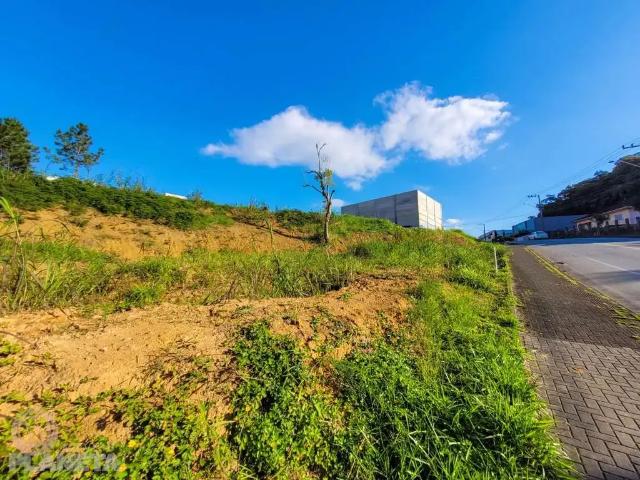 Terreno / Lote para Venda em Jaraguá do Sul/SC Jaraguá Esquerdo