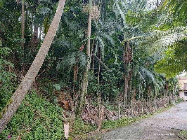 Terreno / Lote para Venda em Jaraguá do Sul/SC Jaraguá Esquerdo