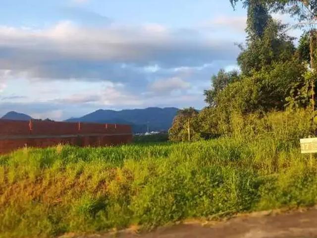 Terreno / Lote para Venda em Jaraguá do Sul/SC Rau