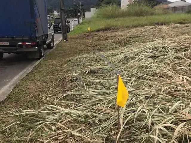 Terreno / Lote para Venda em Jaraguá do Sul/SC Rau