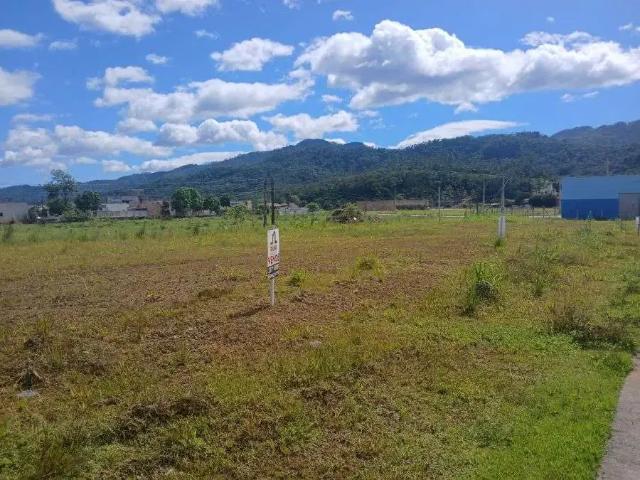 Terreno / Lote para Venda em Jaraguá do Sul/SC Rio Cerro II