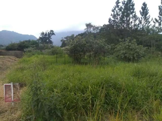 Terreno / Lote para Venda em Jaraguá do Sul/SC Rio Cerro II