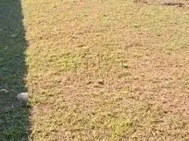 Terreno / Lote para Venda em Jaraguá do Sul/SC Santa Luzia