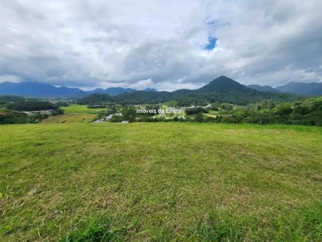 Terreno / Lote para Venda em Jaraguá do Sul/SC Santa Luzia