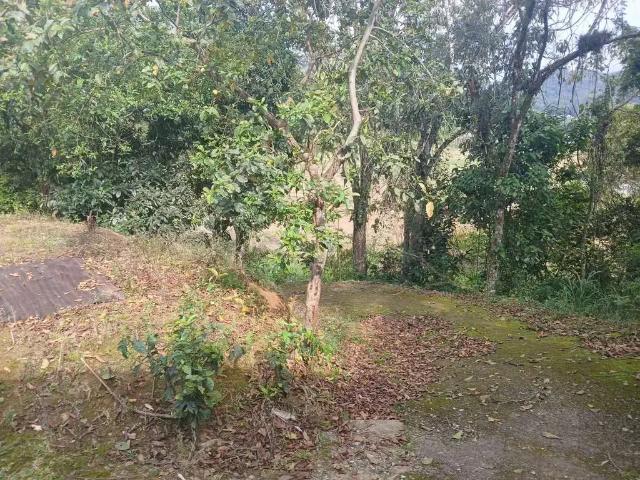 Terreno / Lote para Venda em Jaraguá do Sul/SC Tifa Monos