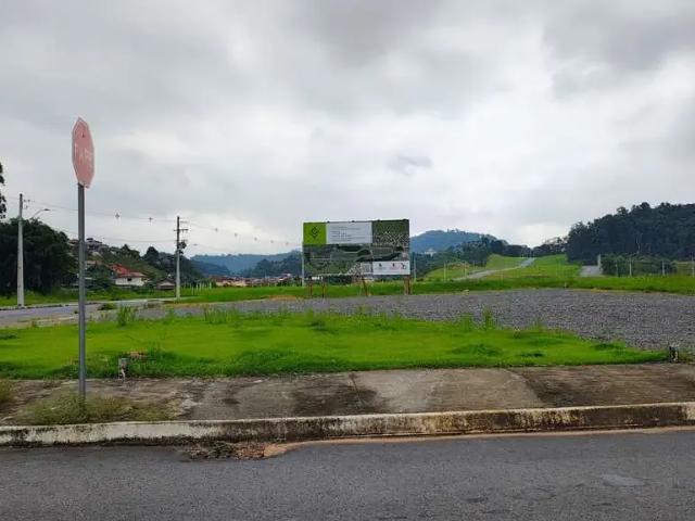 Terreno / Lote para Venda em Jaraguá do Sul/SC Tifa Martins