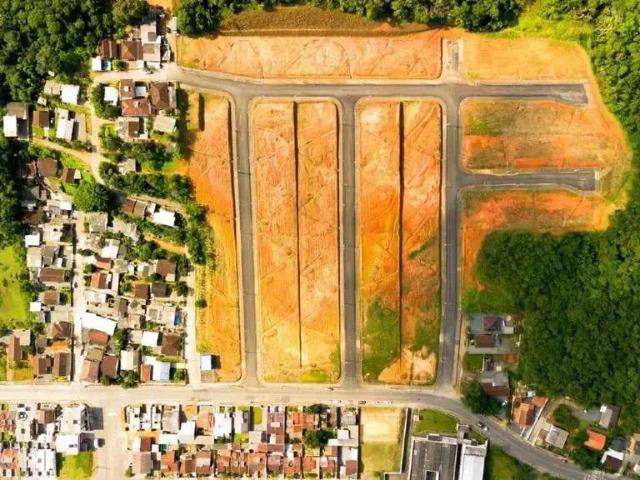 Terreno / Lote para Venda em Jaraguá do Sul/SC Três Rios do Norte