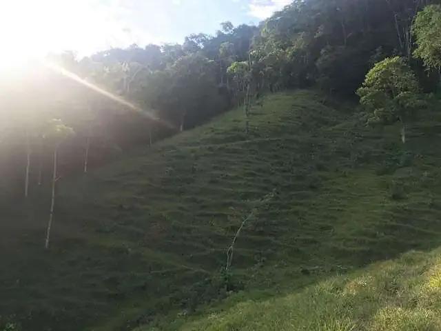 Terreno / Lote para Venda em Jaraguá do Sul/SC Três Rios do Norte 2 Quartos