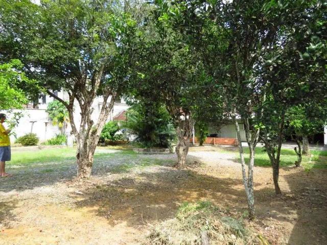 Terreno / Lote para Venda em Jaraguá do Sul/SC Vila Lenzi