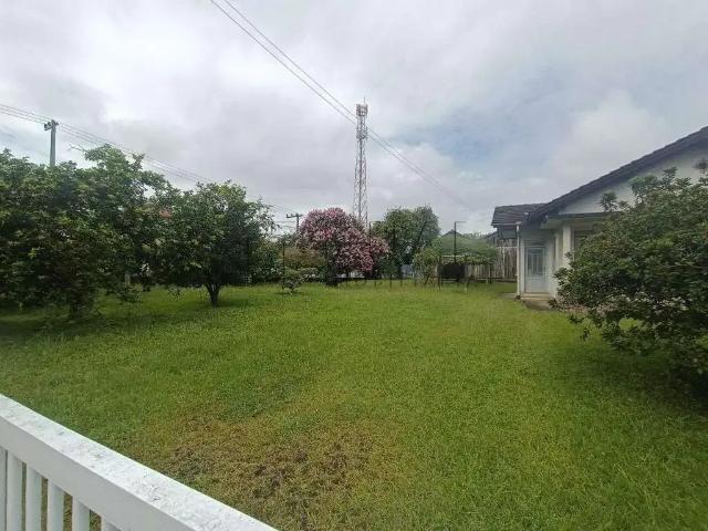 Terreno / Lote para Venda em Jaraguá do Sul/SC Vila Lenzi