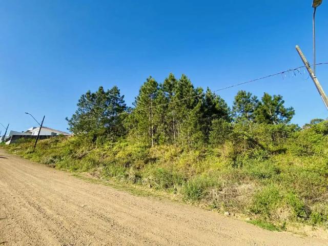 Terreno / Lote para Venda em Jaraguá do Sul/SC Vila Lenzi