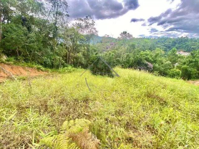 Terreno / Lote para Venda em Jaraguá do Sul/SC Vila Lenzi