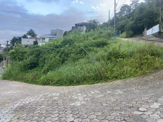 Terreno / Lote para Venda em Jaraguá do Sul/SC Vila Nova