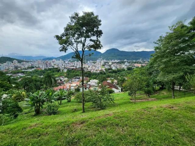 Terreno / Lote para Venda em Jaraguá do Sul/SC Vila Nova