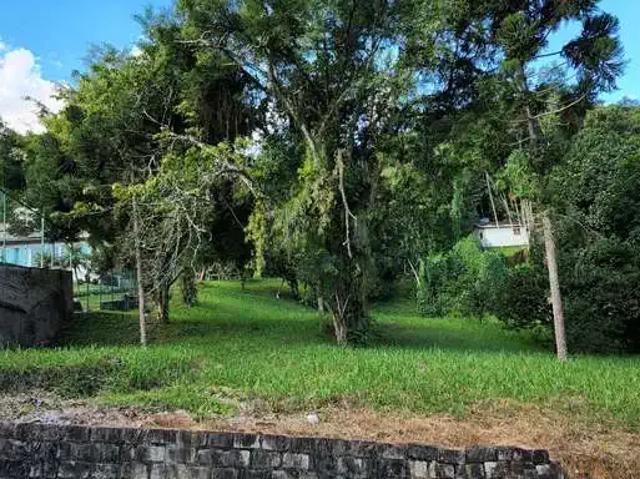Terreno / Lote para Venda em Jaraguá do Sul/SC Vila Nova