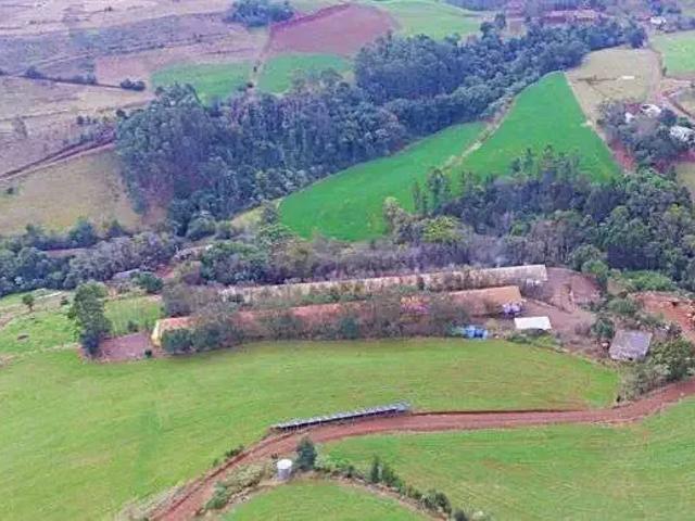 Terreno / Lote para Venda em Jardinópolis/SC Centro