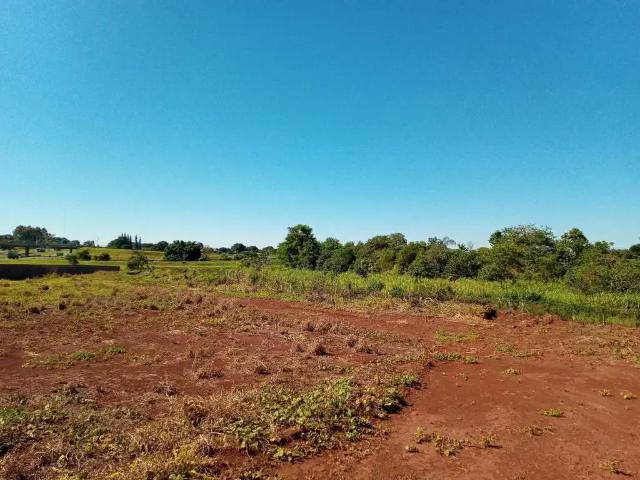 Terreno / Lote para Venda em Jardinópolis/SP Zona Rural