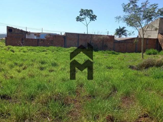 Terreno / Lote para Venda em Jardinópolis/SP Maria Regina