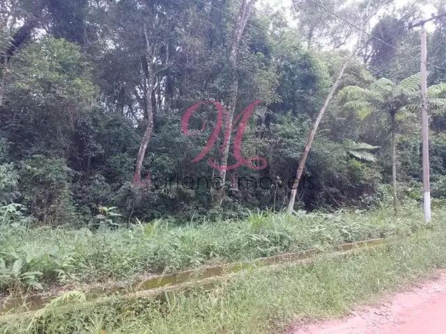 Terreno / Lote para Venda em Jarinu/SP Campo Verde