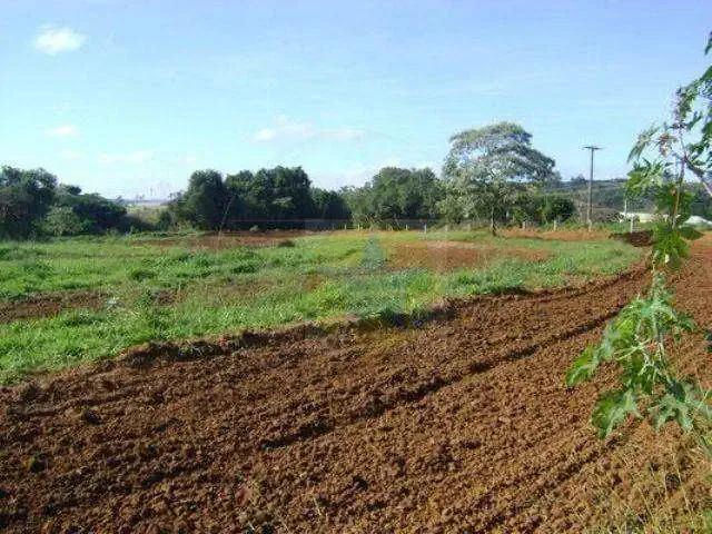 Terreno / Lote para Venda em Jarinu/SP Campo dos Aleixos