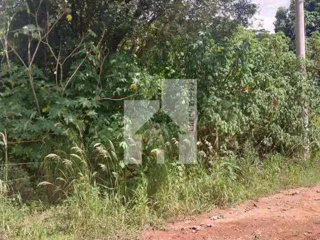 Terreno / Lote para Venda em Jarinu/SP Caioçara