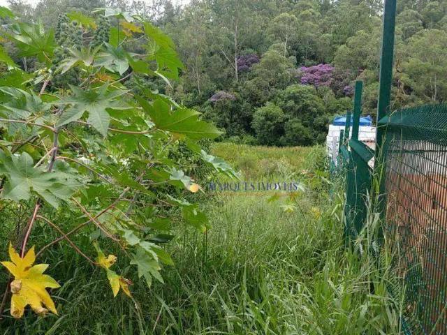 Terreno / Lote para Venda em Jarinu/SP Caioçara