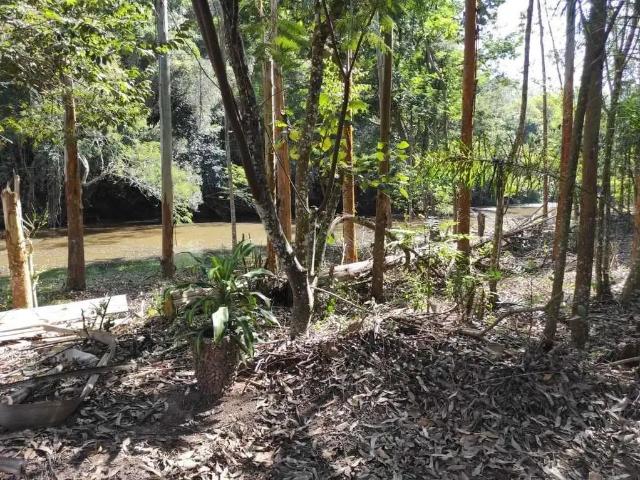 Terreno / Lote para Venda em Jarinu/SP Centro