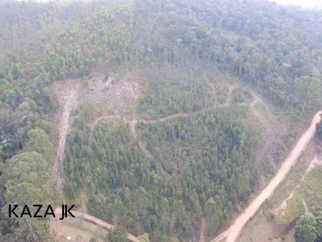 Terreno / Lote para Venda em Jarinu/SP Centro