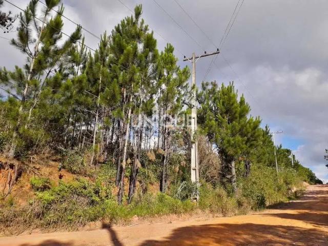 Terreno / Lote para Venda em Jarinu/SP Maracanã