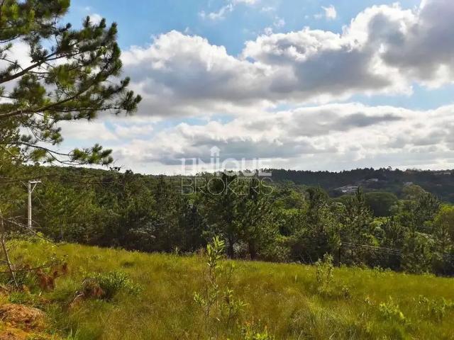 Terreno / Lote para Venda em Jarinu/SP Maracanã