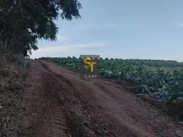 Terreno / Lote para Venda em Jarinu/SP Pinhal
