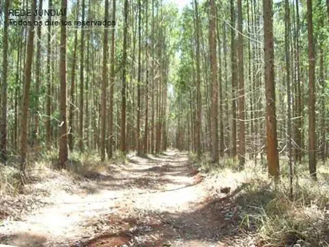 Terreno / Lote para Venda em Jarinu/SP Pitangal