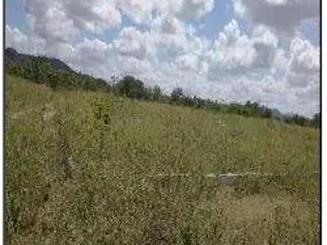 Terreno / Lote para Venda em Jataúba/PE Centro
