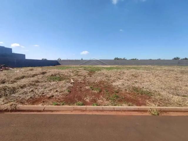 Terreno / Lote para Venda em Jaú/SP Jardim Alvorada II